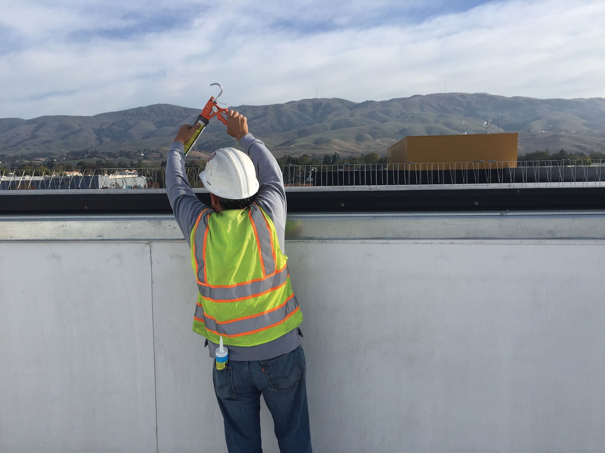 Dudley Bird & Pigeon Spike Installation - Bird Proofing